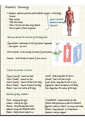 Anatomical Terminology - Anatomical Terminology Learning Outcomes ...