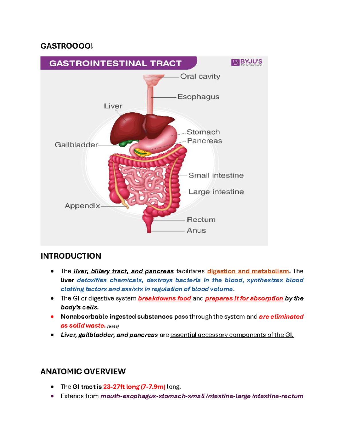 Gastrointestinal System Overview: Anatomy, Functions, and Diagnostics ...