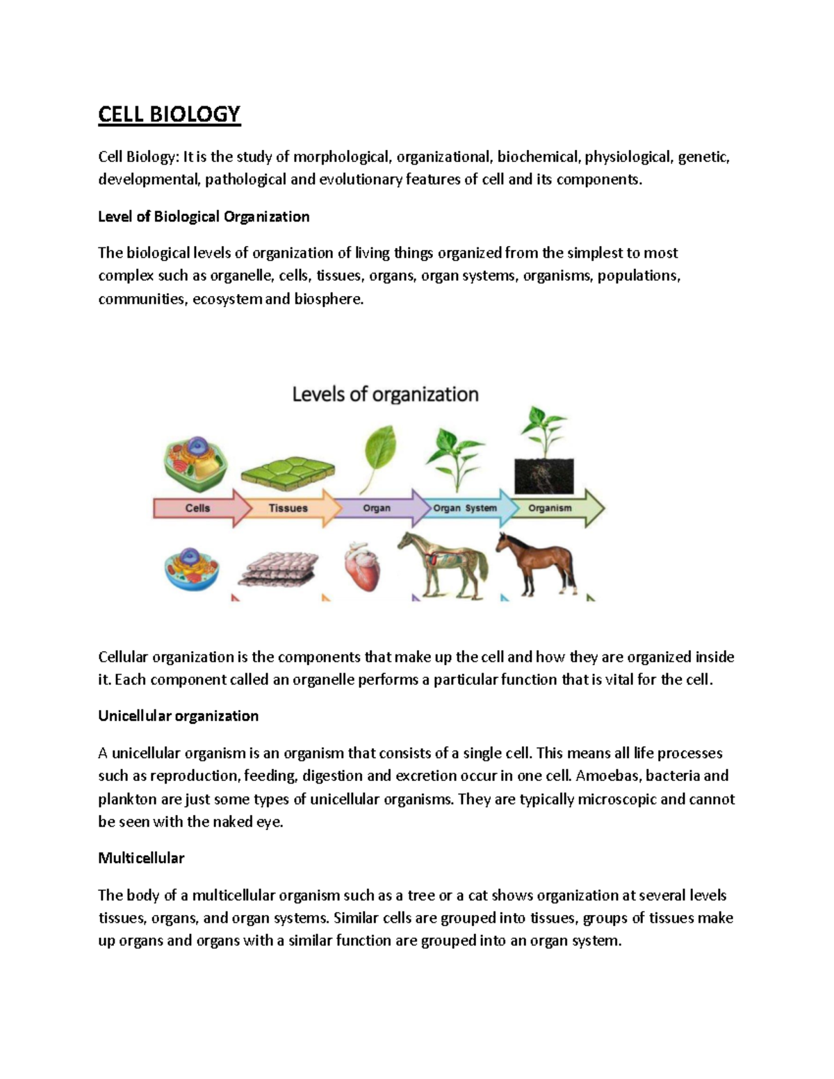 CELL 101: Comprehensive Notes on Cell Biology Concepts - Studocu