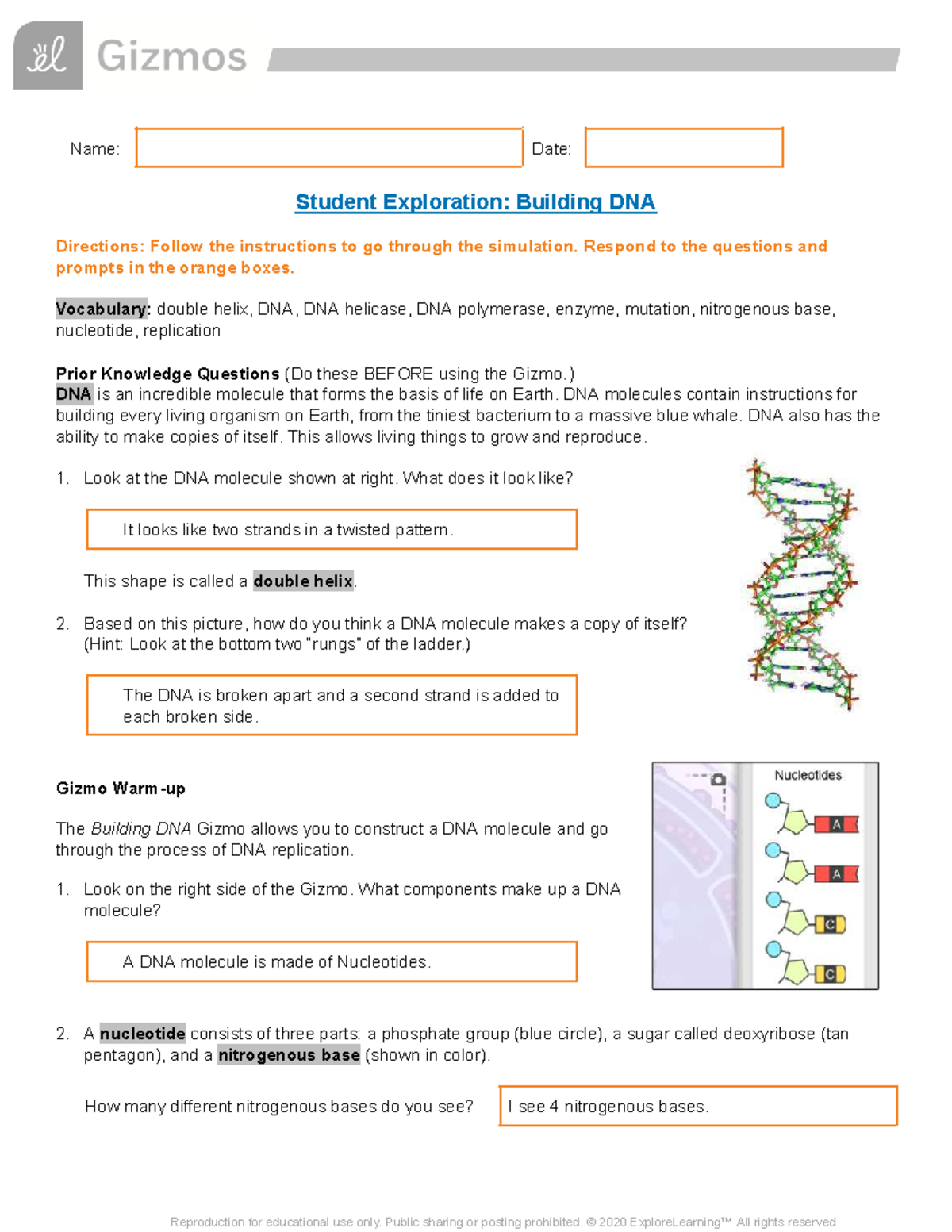 Building DNA: Gizmos Lab Exploration for Biology 101 - Studocu