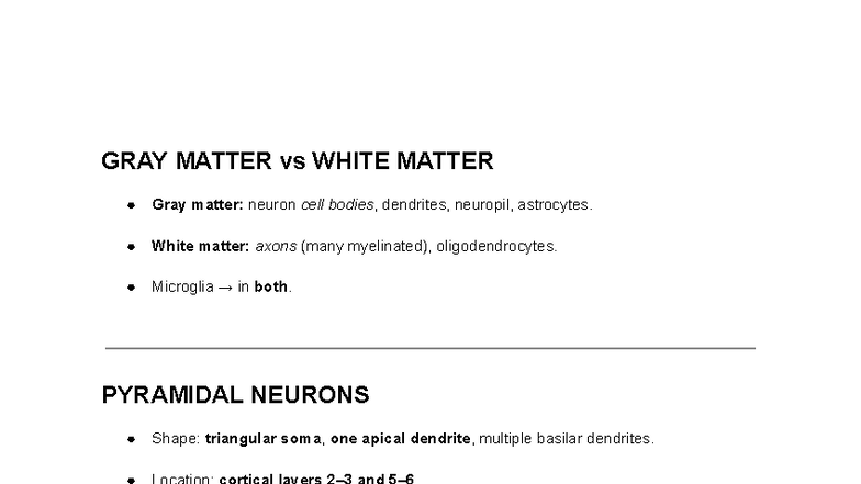GRAY MATTER vs WHITE MATTER: Neuron Structures & Functions - Studocu