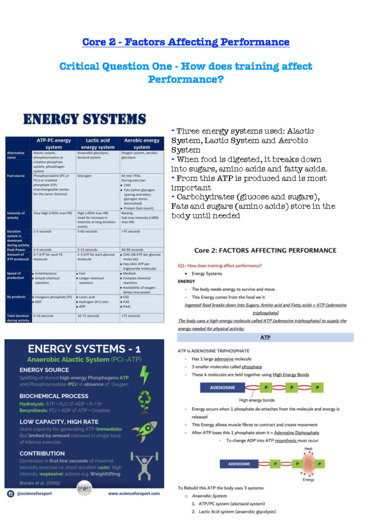 PDHPE - Core 2 - Factors Influencing Performance: Training & Energy ...
