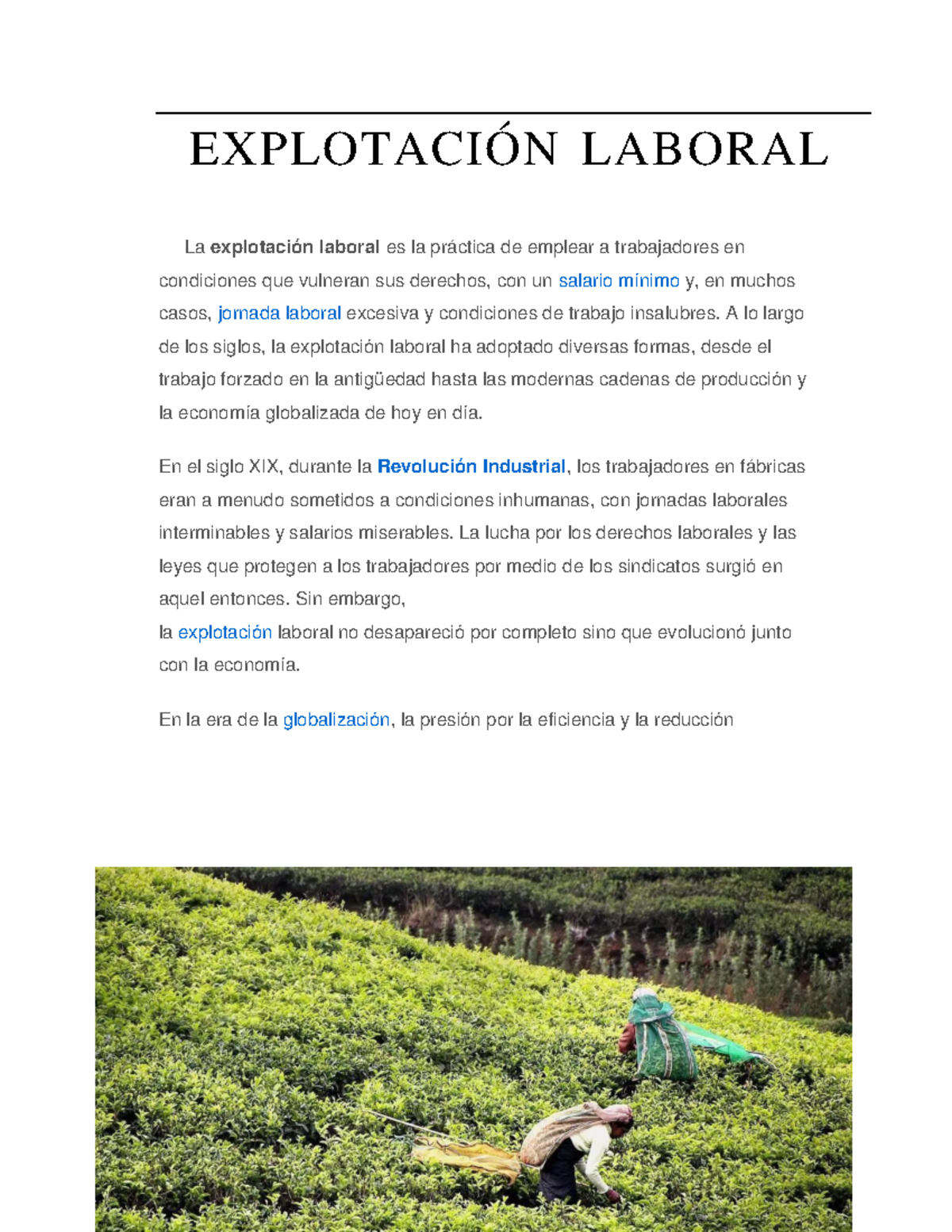 Explotación Laboral: Causas, Consecuencias y Sectores Vulnerables - Studocu