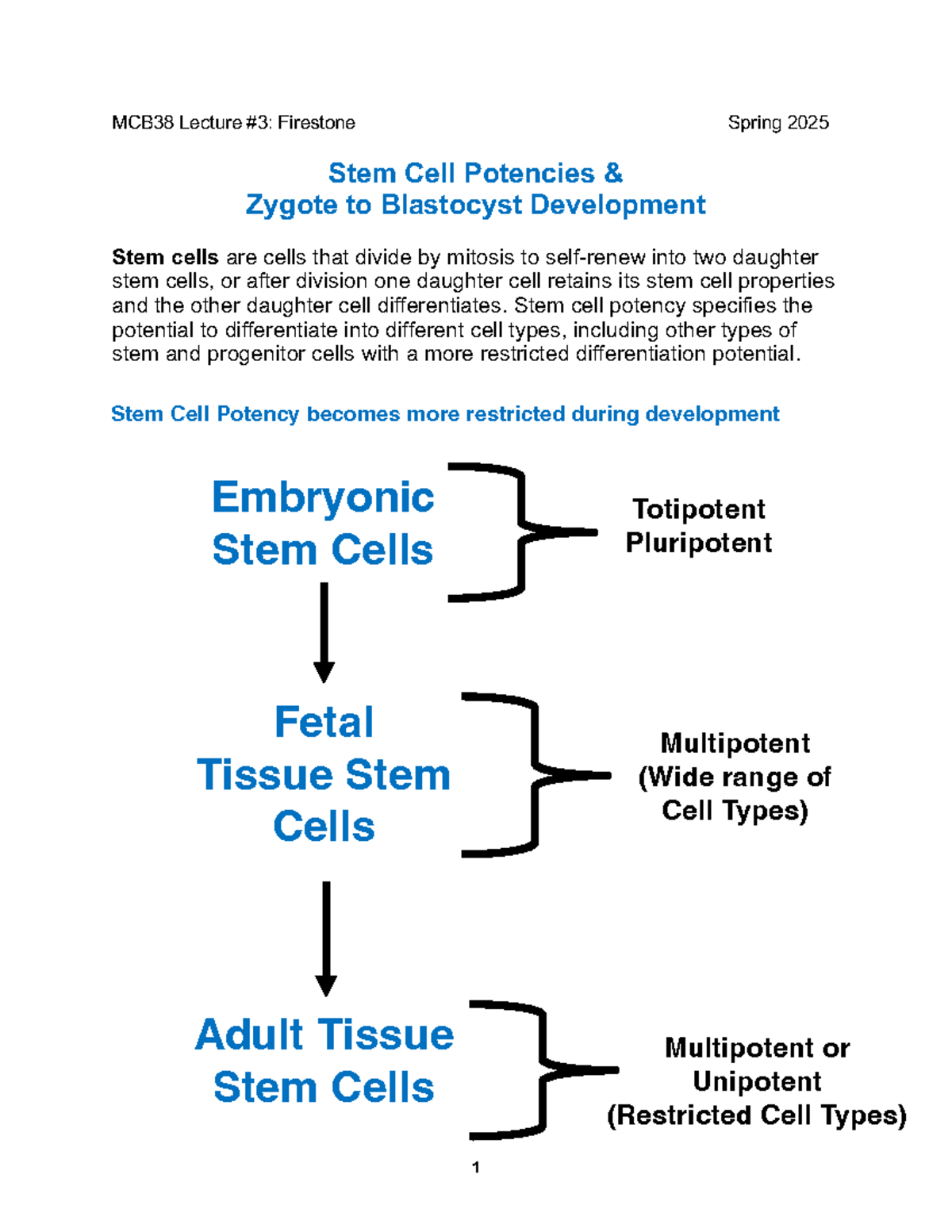 MCB38 Lecture #3: Stem Cell Potencies & Development Overview - MCB38 ...