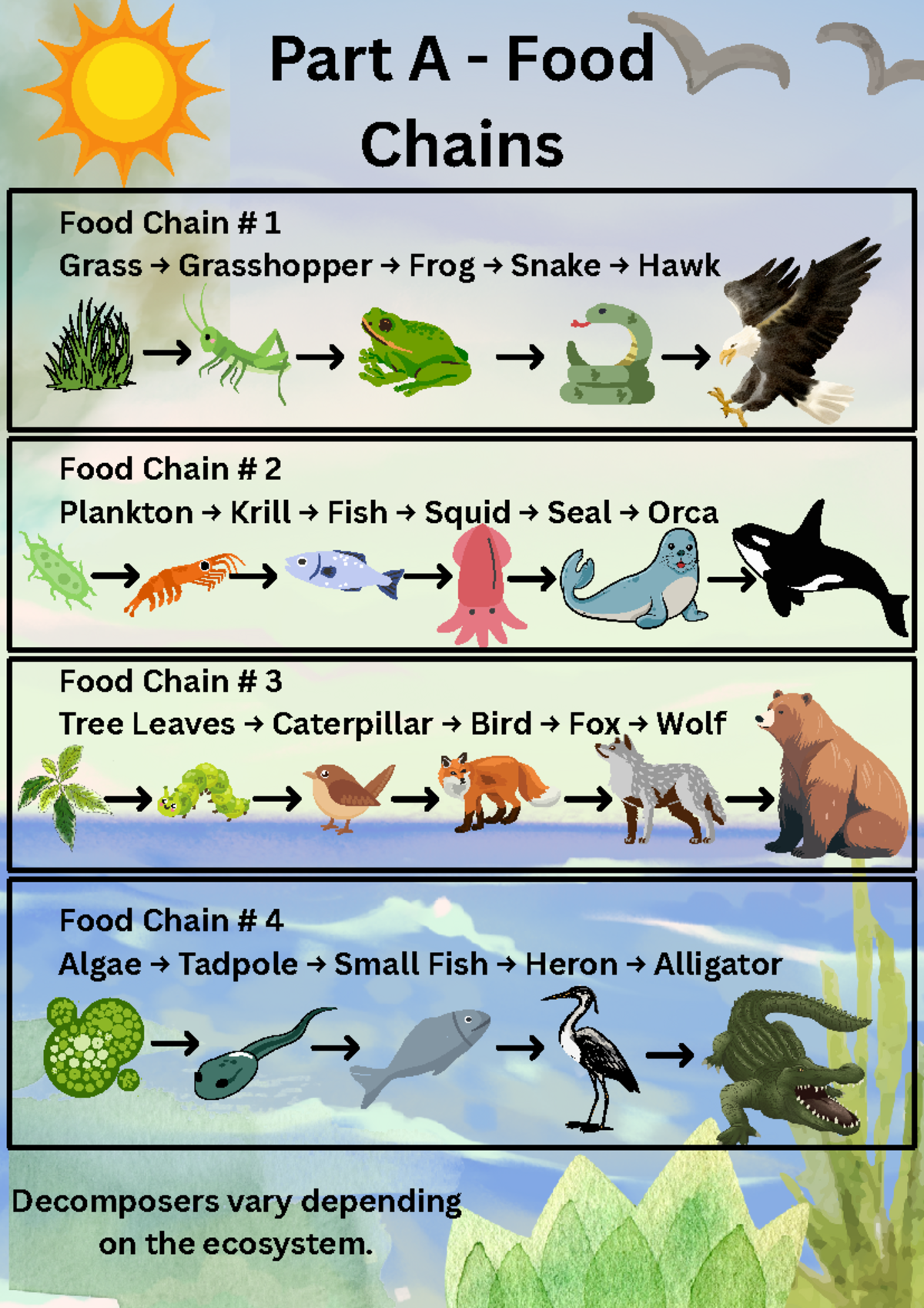 PART A FOOD Chain - Science And Technology - Food Chain # 2 Plankton → ...