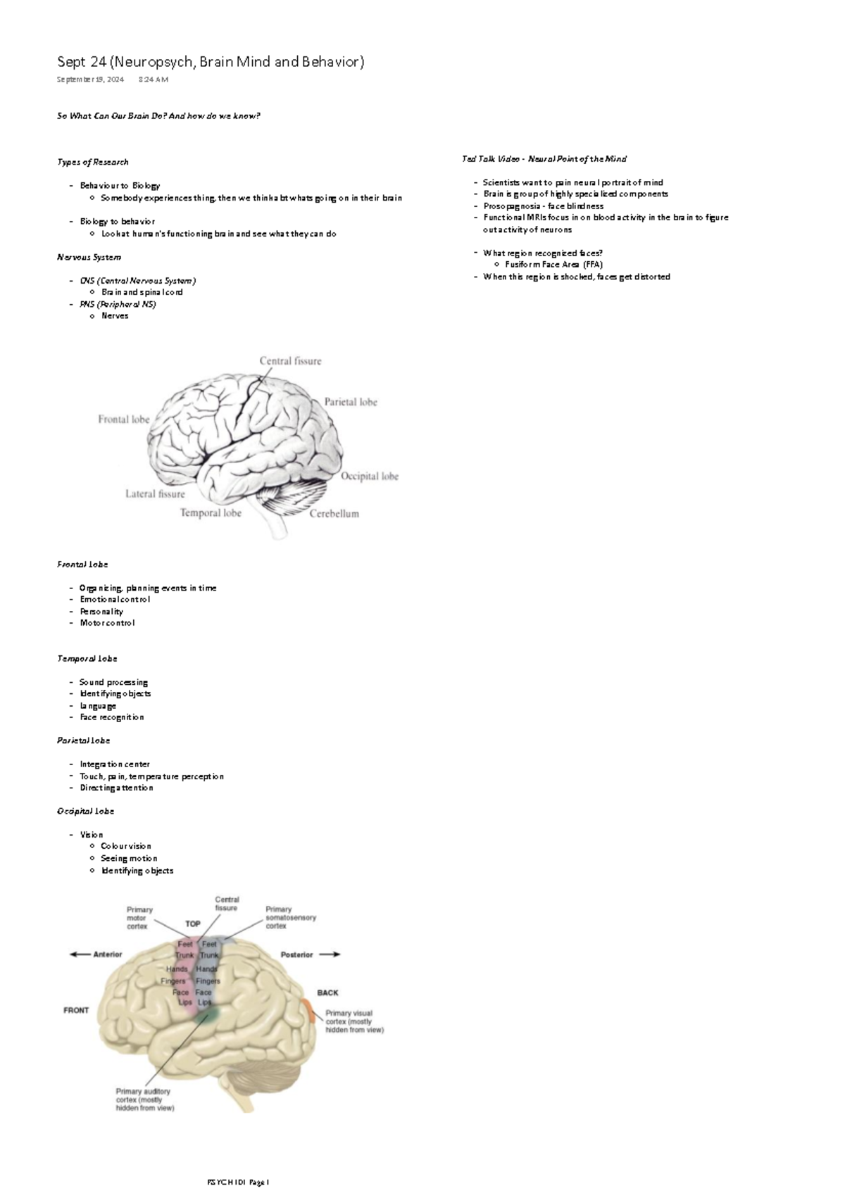 Neuropsych, Brain, Mind and Behavior - So What Can Our Brain Do? And ...