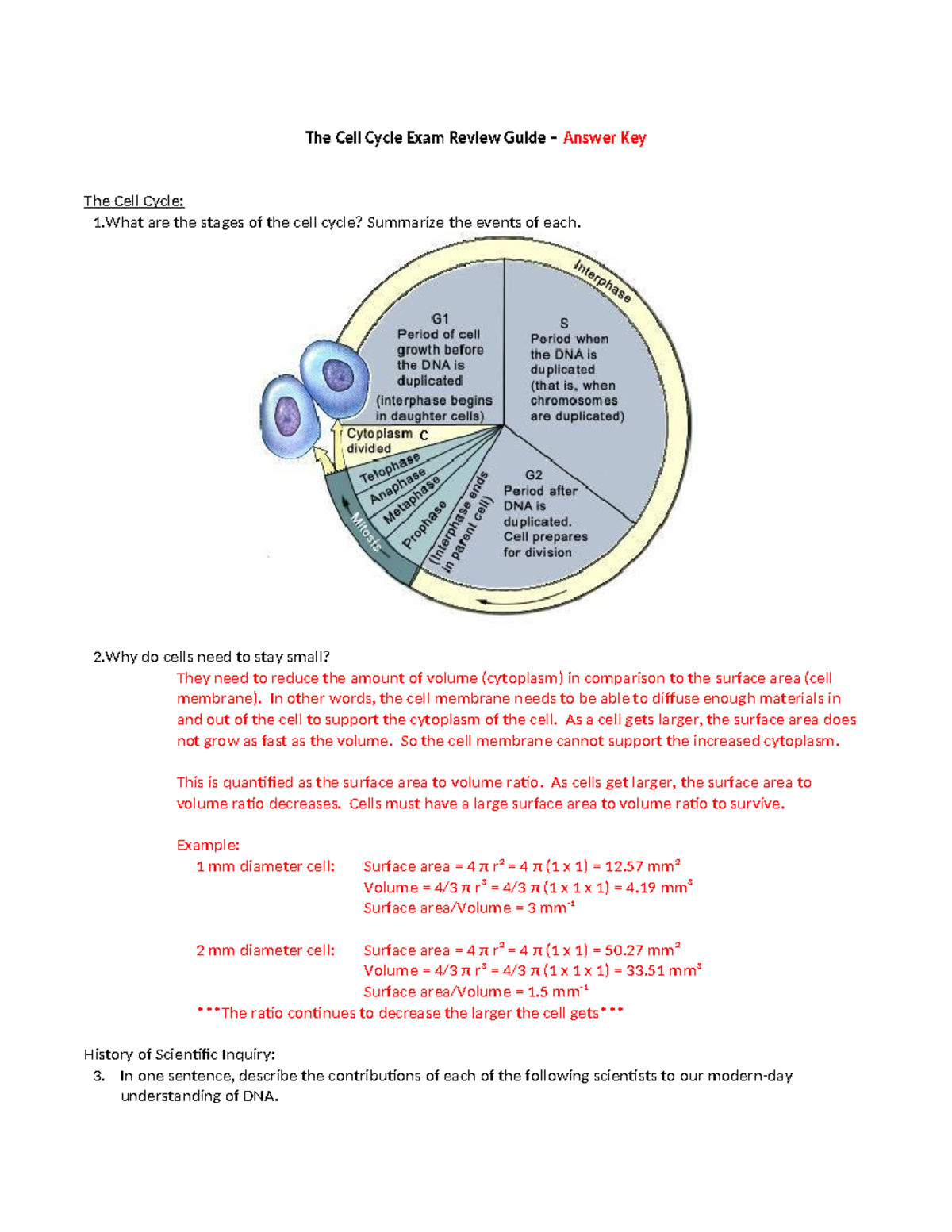 TEST Review Guide: The Cell Cycle Exam Answer Key - Studocu