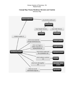 Module 2, Chapter 5: Tissues (Epithelial and Connective) Study Guide ...