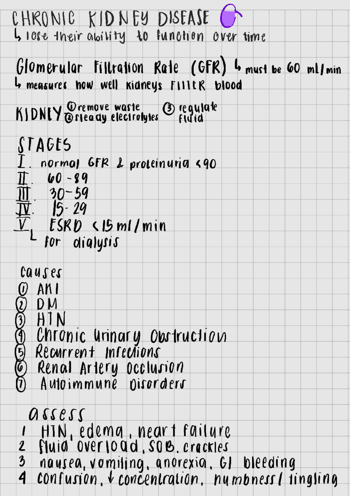 Renal Disease Notes: Understanding Chronic Kidney Disease (CKD) and AKI ...