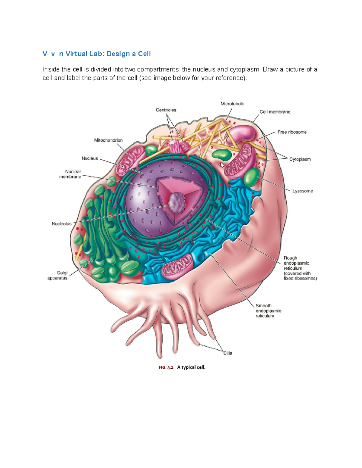 AHP106 Wk1 Virtual Lab - labs - MOA110 - V v n Virtual Lab: Design a ...