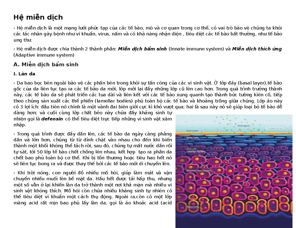 Hệ miễn dịch - ythe - Hệ miễn dịch Hệ miễn dịch là một mạng lưới phức ...