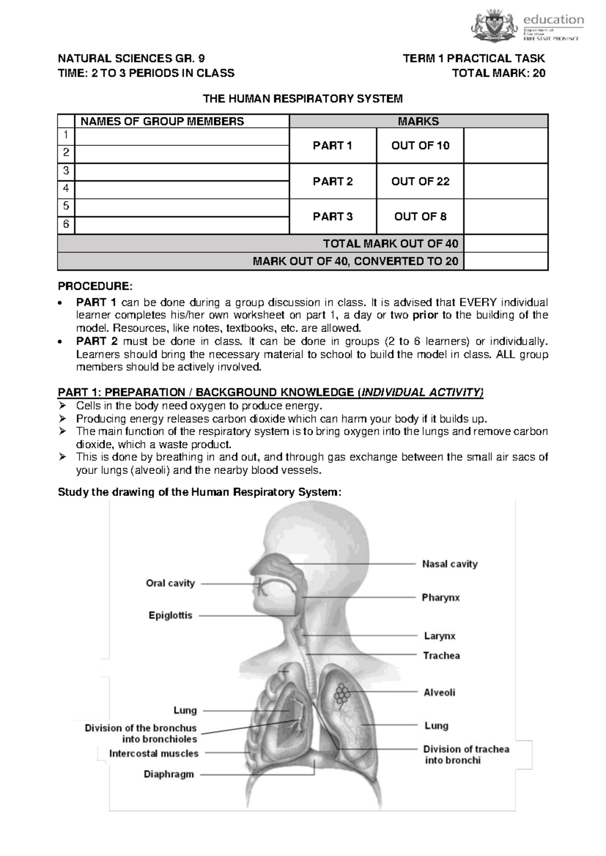 NS Gr9 Term 1 Practical Task on Human Respiratory System 2025 - Studocu