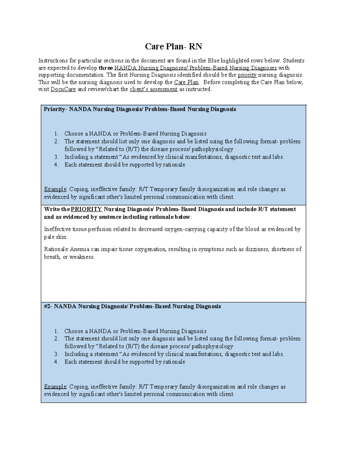 RN Care Planning Tool 082024 (2) - Care Plan- RN Instructions for particular sections in the ...