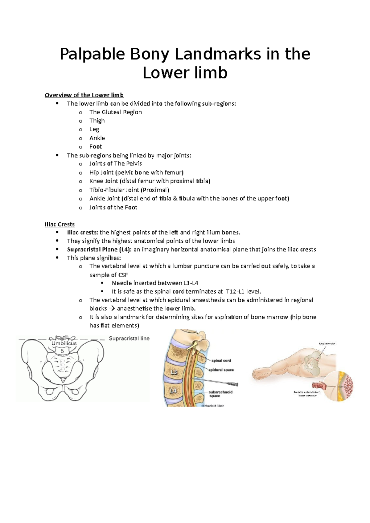 Palpable Bony Landmarks in the Lower limb - Palpable Bony Landmarks in ...