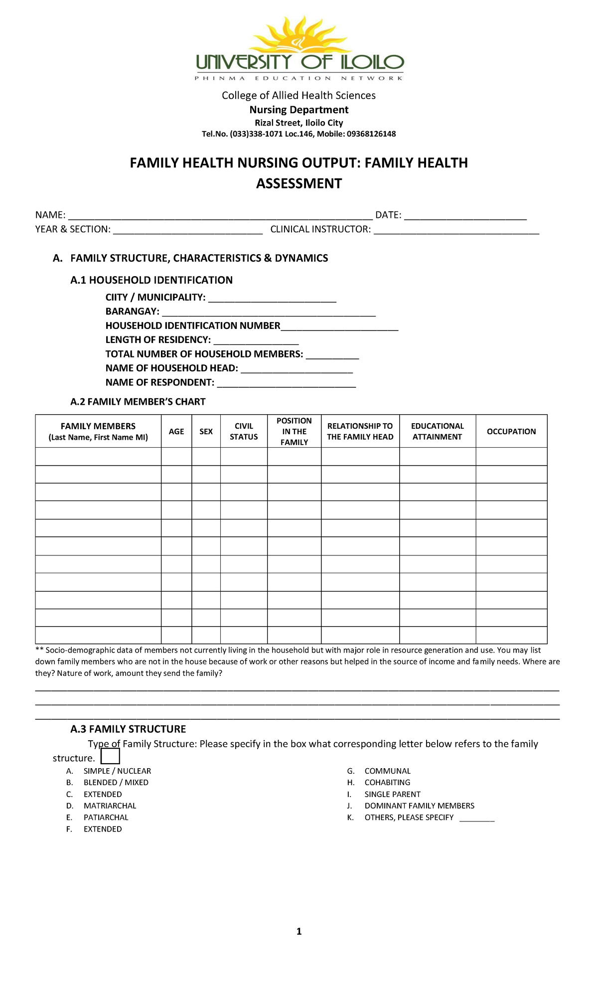 Family Health Assessment Form: Nursing Output for Allied Health ...