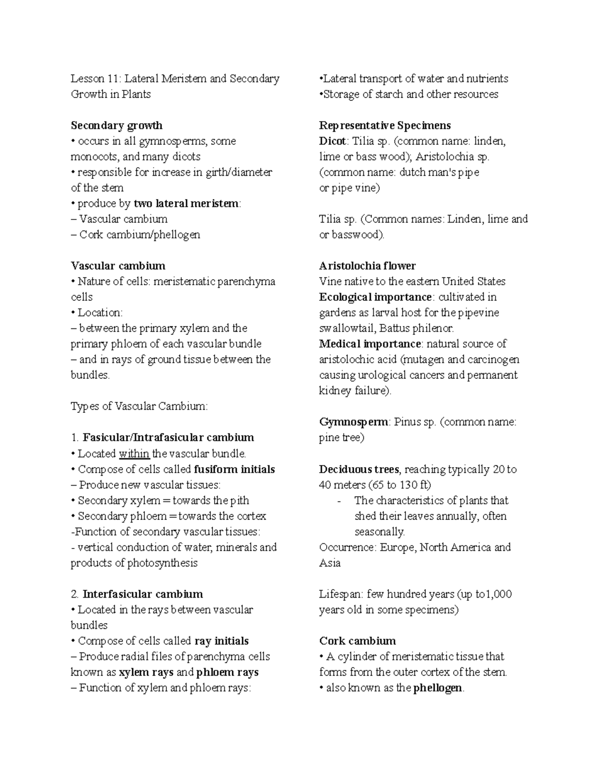 General Botany (BIO 101): Lesson 11 - Lateral Meristem & Secondary ...