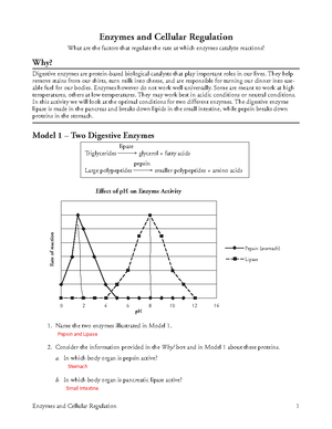 5.3 Unit 5 Genetics Practice Problems Student WS copy-1 - AP Biology ...