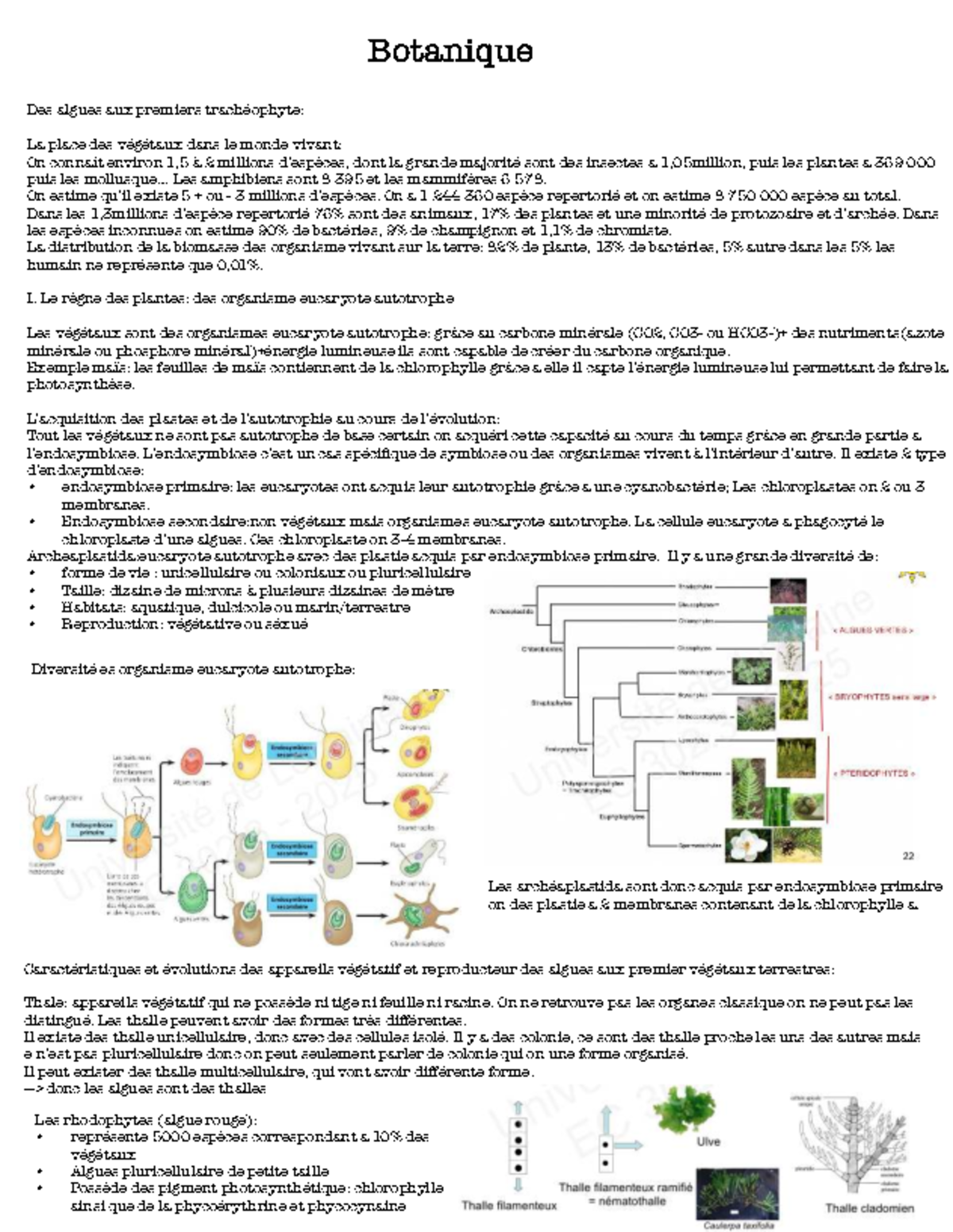 Cours 1 Botanique: Des Algues aux Premiers Végétaux Terrestres - Studocu