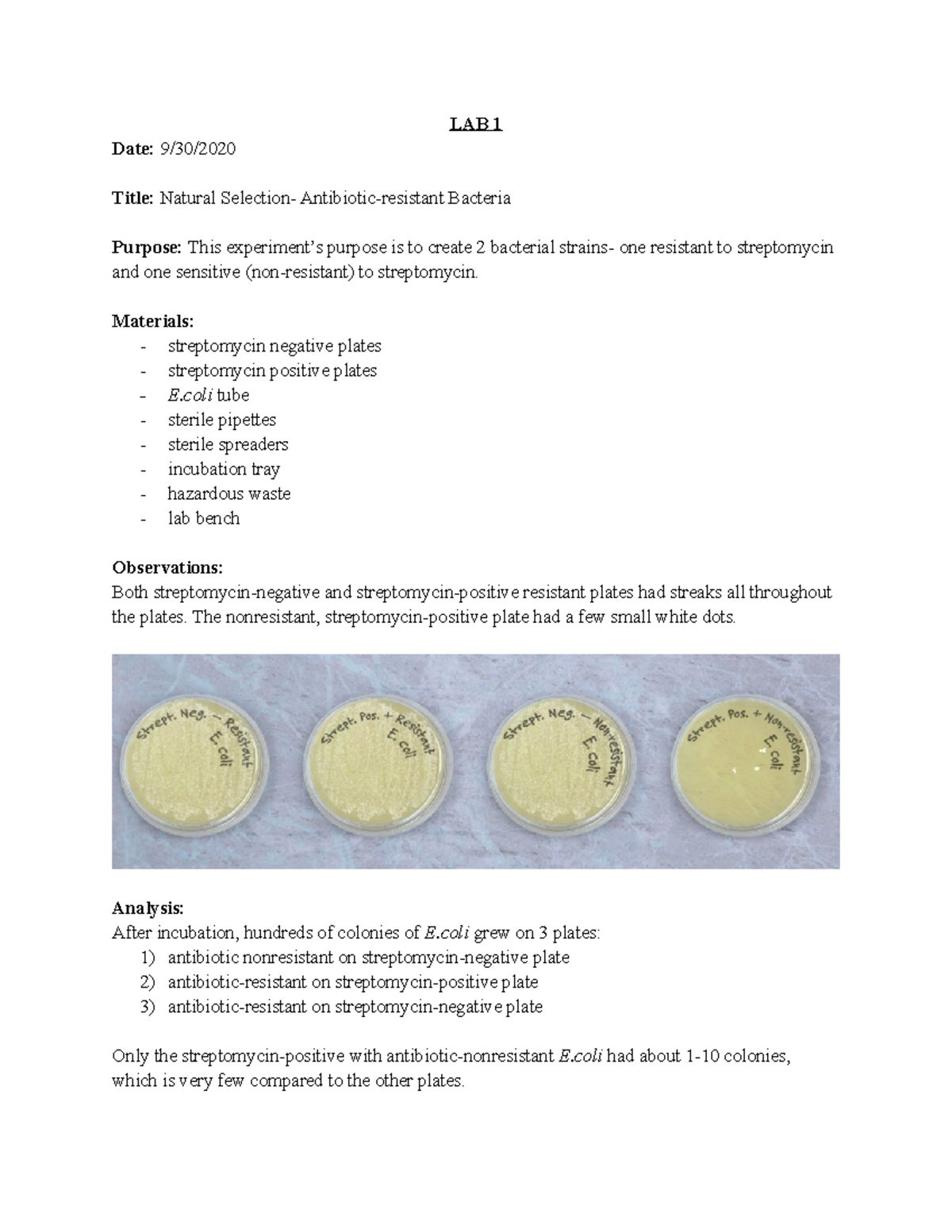 Natural Selection Lab 1: Antibiotic-resistant Bacteria Analysis - Studocu