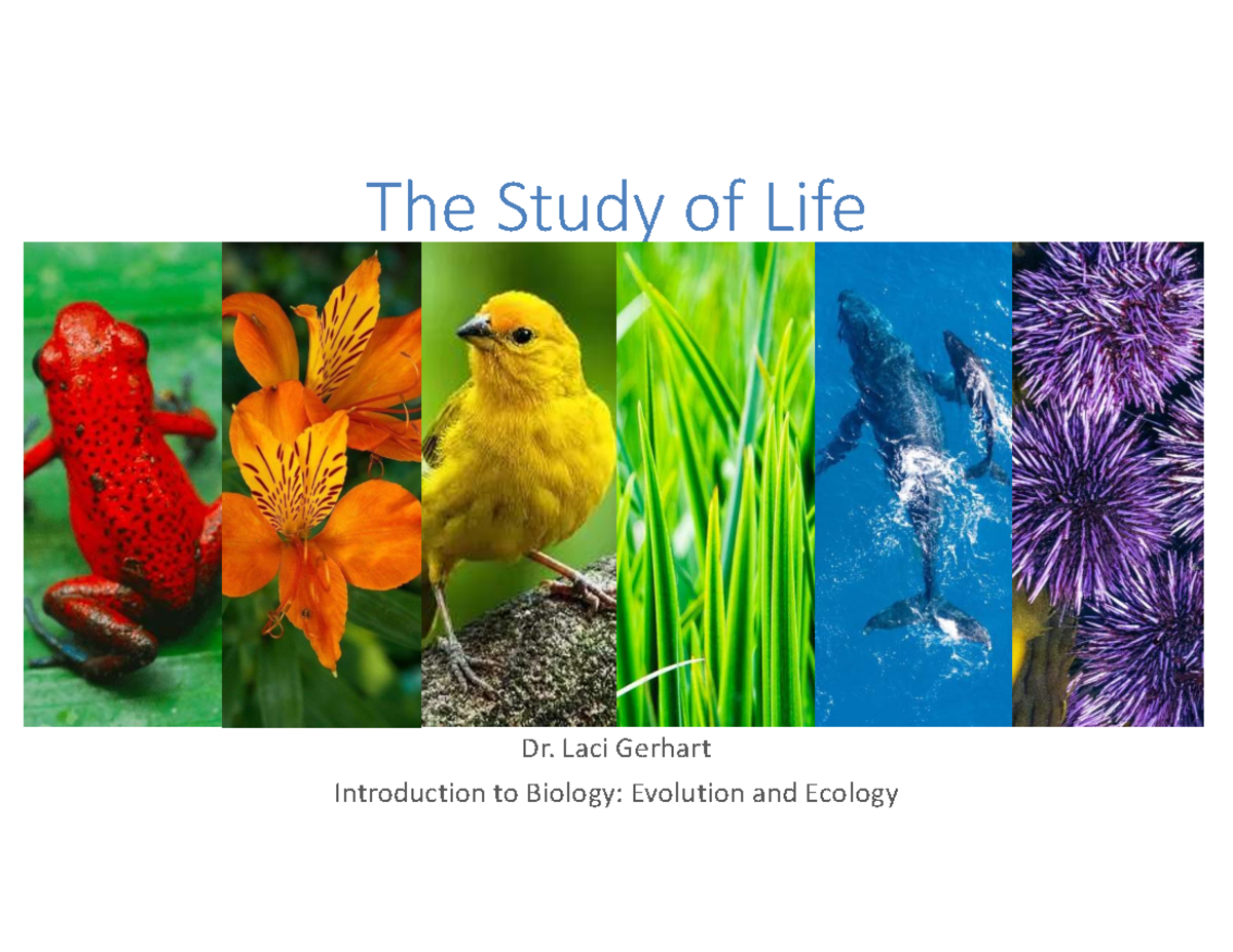 Lecture 01: The Study of Life in Biology (BIO 101) - Studocu