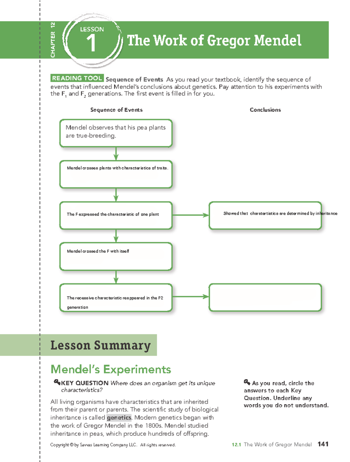 Understanding Mendel's Principles of Genetics - BIO CH12 Lesson Notes ...