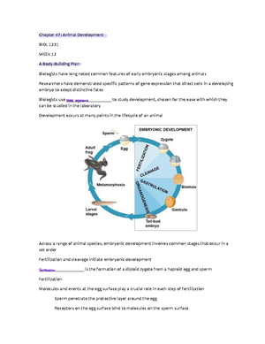 Comprehensive Overview of Animal Reproduction and Development ...