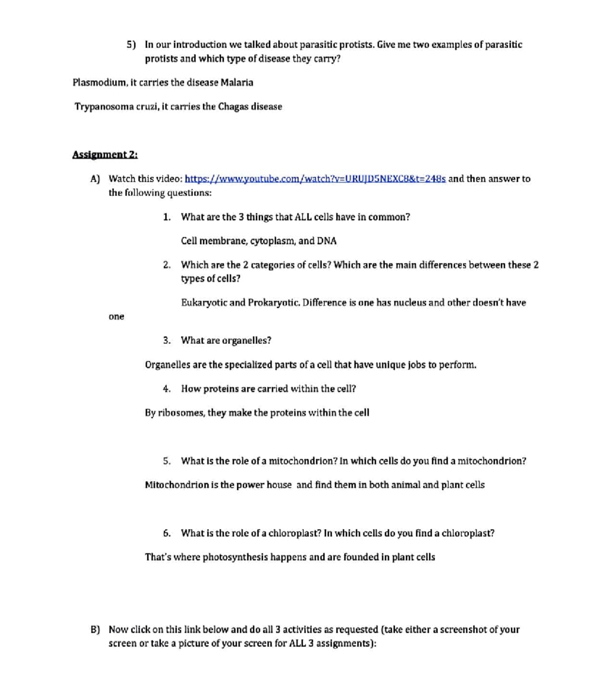 Protista Lab 2023 - Lab - BIO181 - Studocu