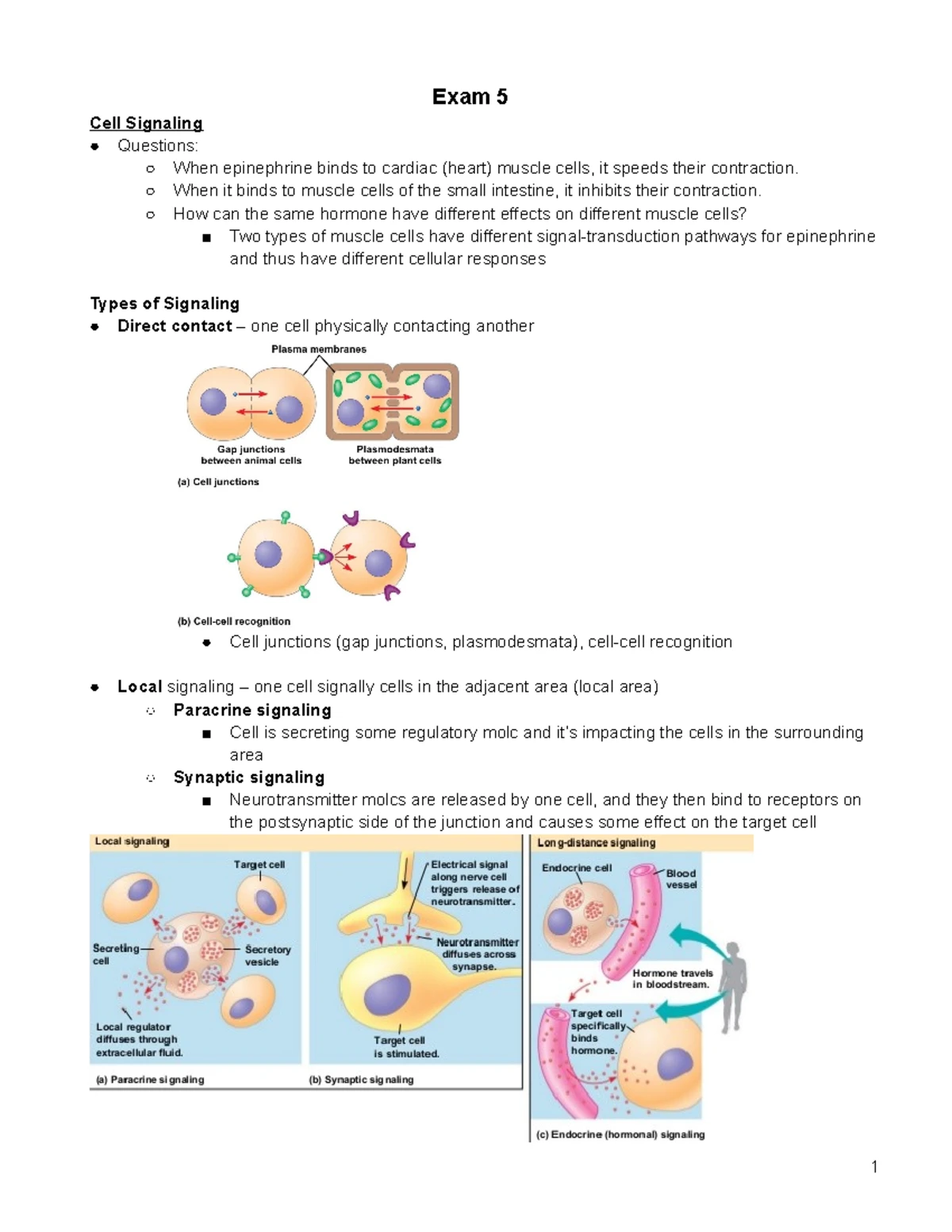 Experiment 10 cellular respiration(yeast lab) - Title: Cellular ...