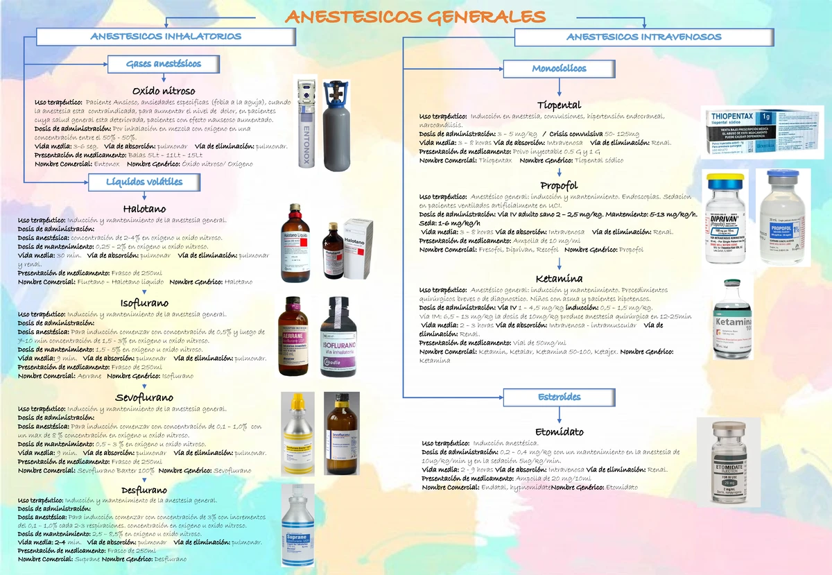 Diferentes Formas y Marcas Comerciales de Ibuprofeno y Paracetamol ...