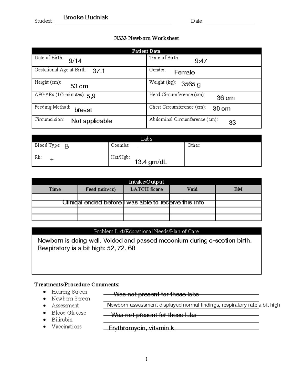 N333 Newborn Assessment Worksheet: Clinical Findings and Care Plan ...