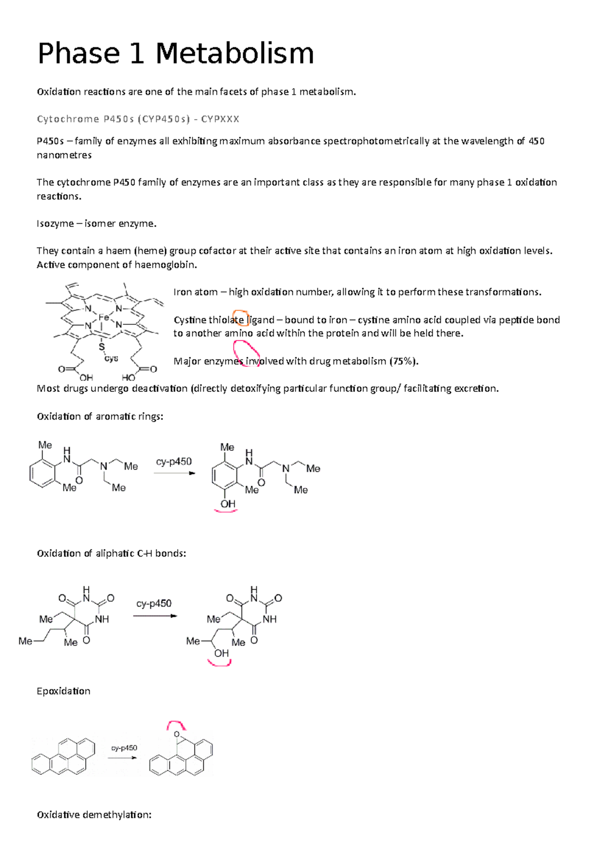 Phase 1 Metabolism - Lecture Notes on CYP450 Enzymes and Reactions ...