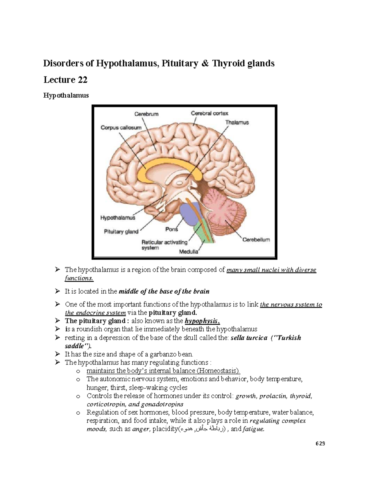 Lecture+22+Disorders+of+++Hypothalamus,+Pituitary+&+Thyroid+gla ...