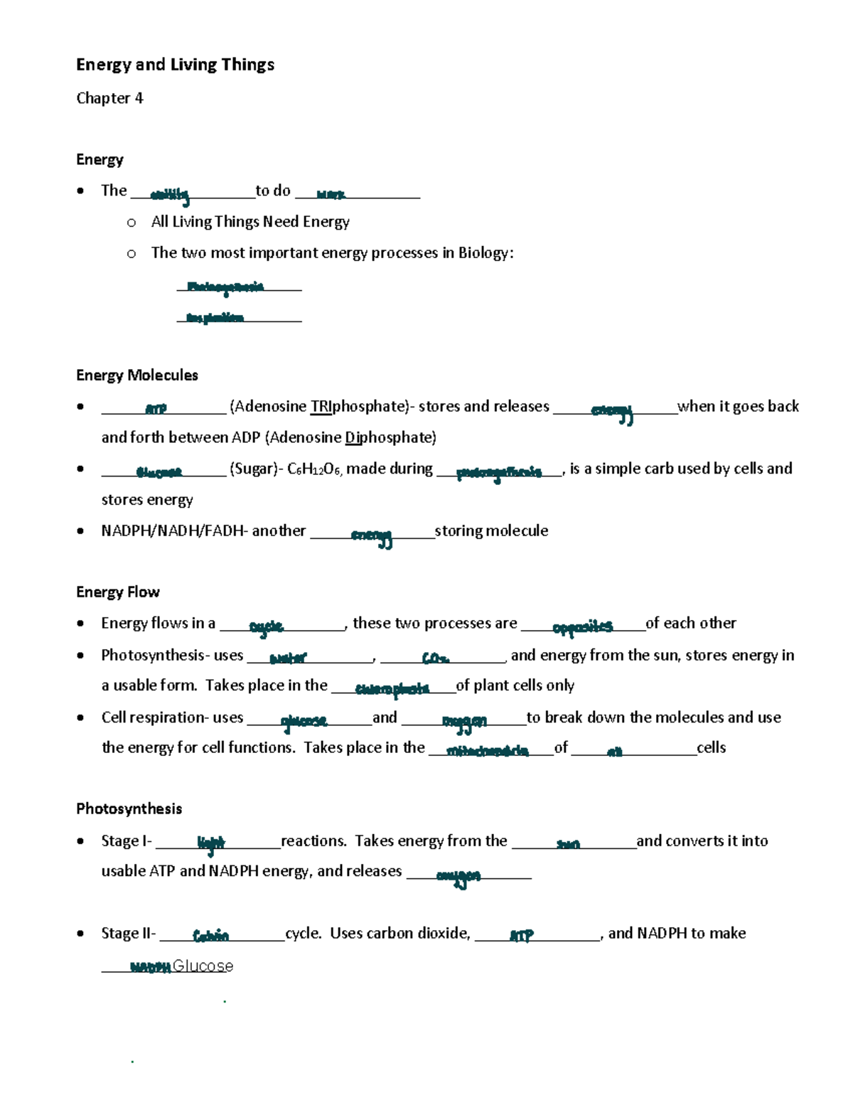 Energy Processes in Biology: Photosynthesis & Cellular Respiration ...
