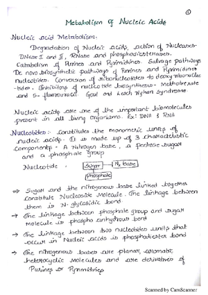 OMR Answer Sheet for NEET 2025 - 180 Questions - Studocu