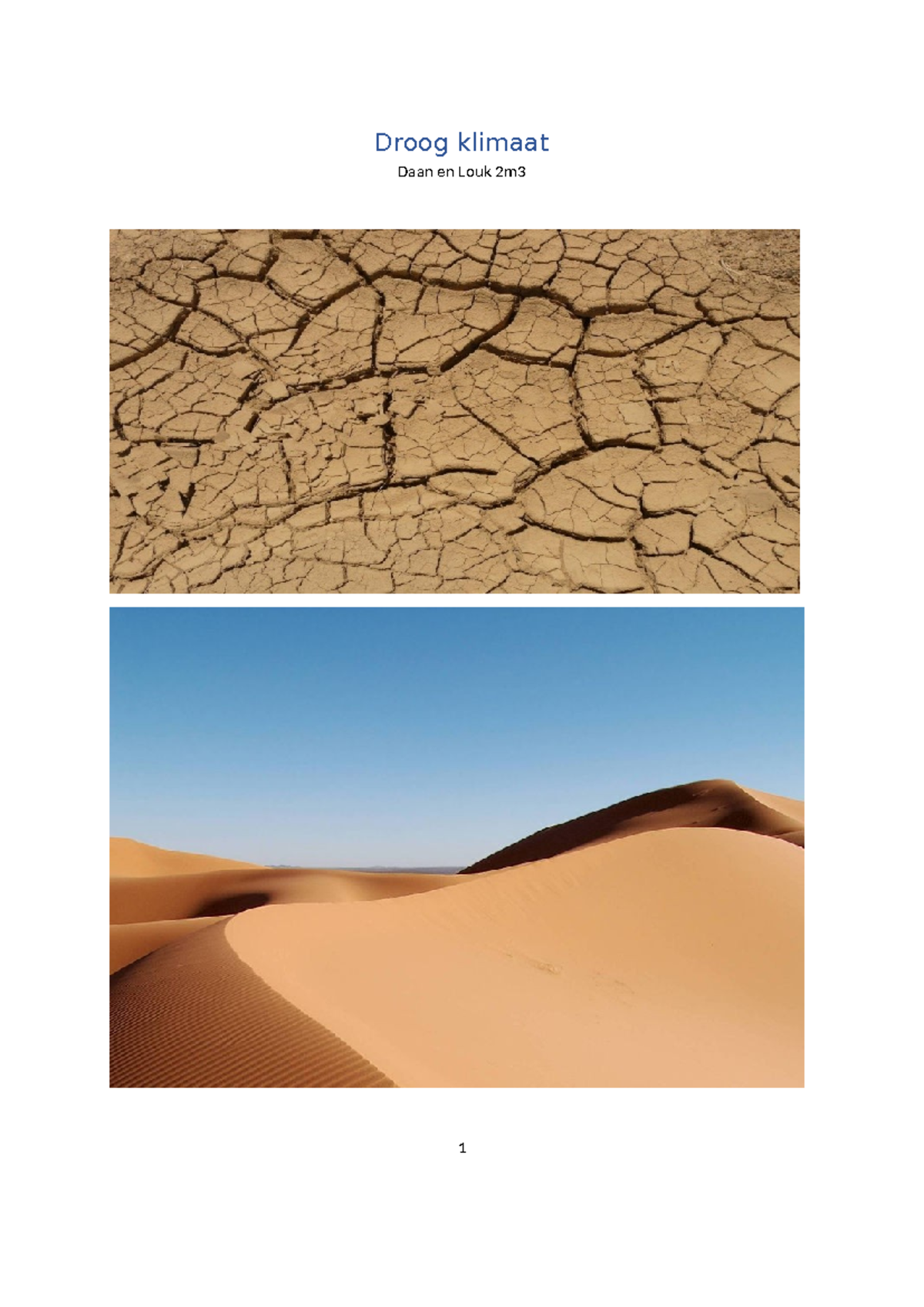 AK Droog Klimaat: Kenmerken, Ontstaan en Flora & Fauna - Studeersnel