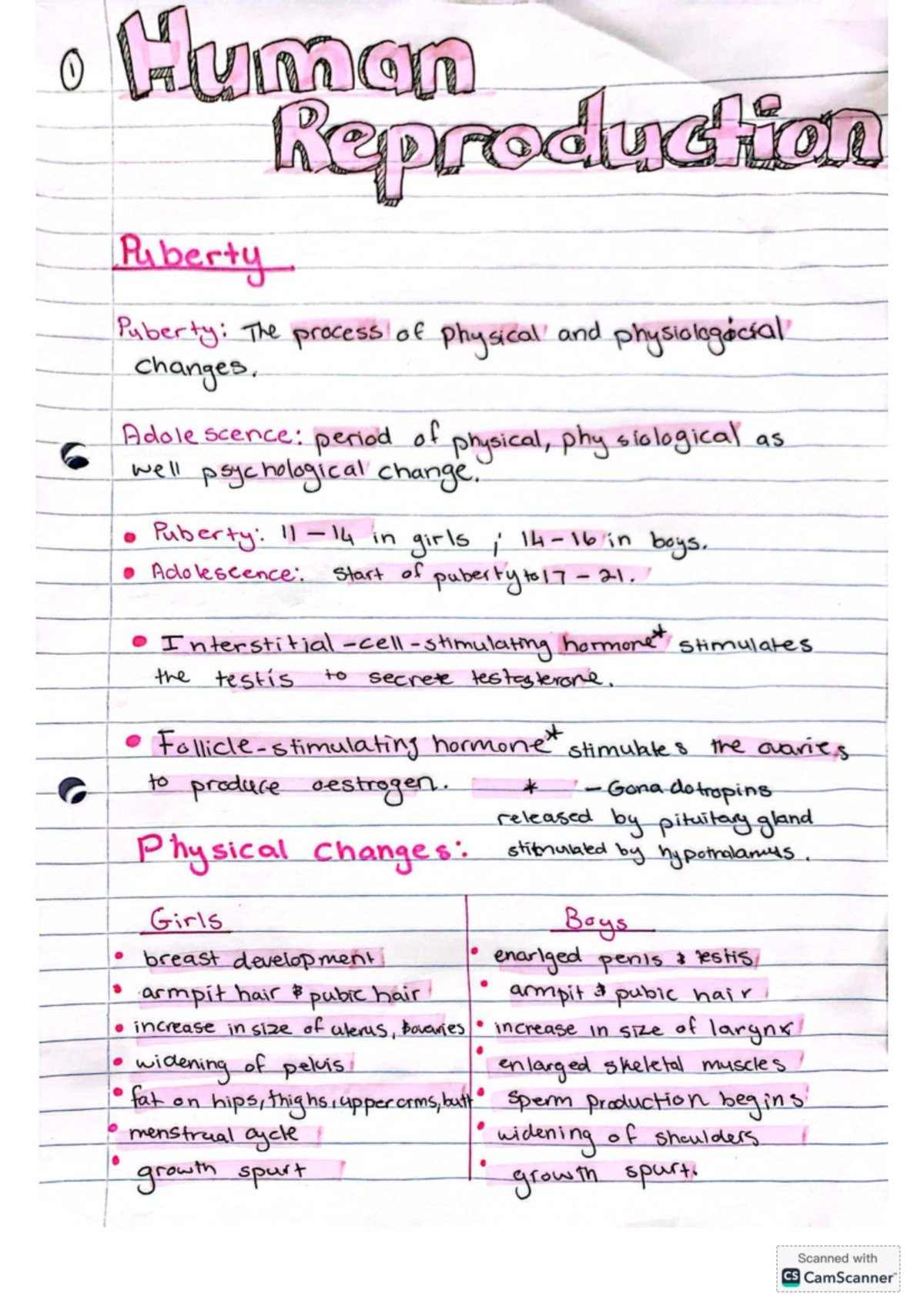 Human Reproduction: Puberty and Gametogenesis - IEB Notes - Studocu
