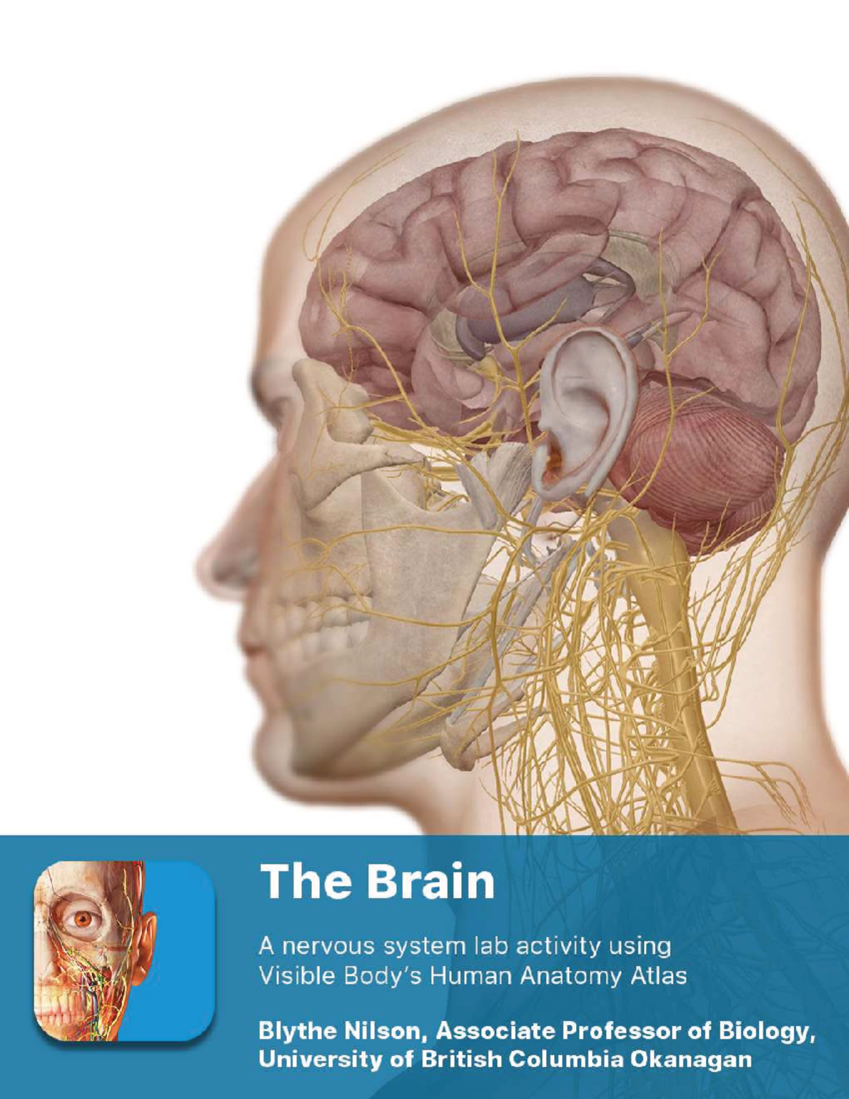 Lab Manual: Nervous System Exercises (Course Code: 1) - Studocu