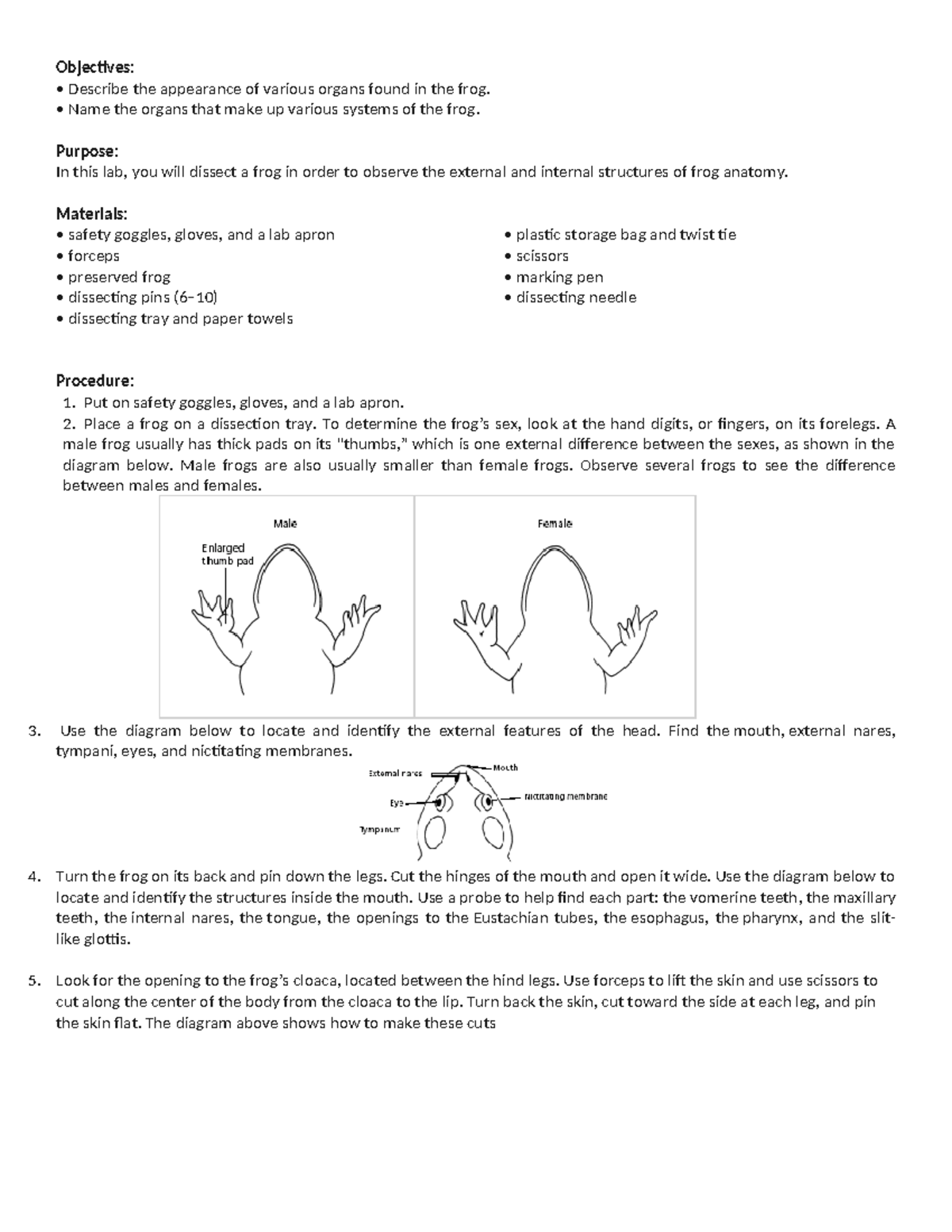 Frog Dissection Lab Guide: Anatomy, Procedures & Observations - Studocu