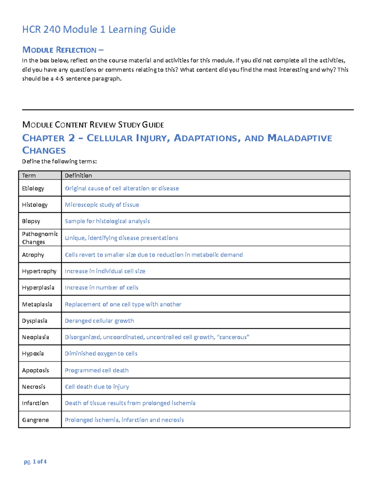 HCR 230 - Table of Religions Assignment: Cultural Perspectives & Health ...