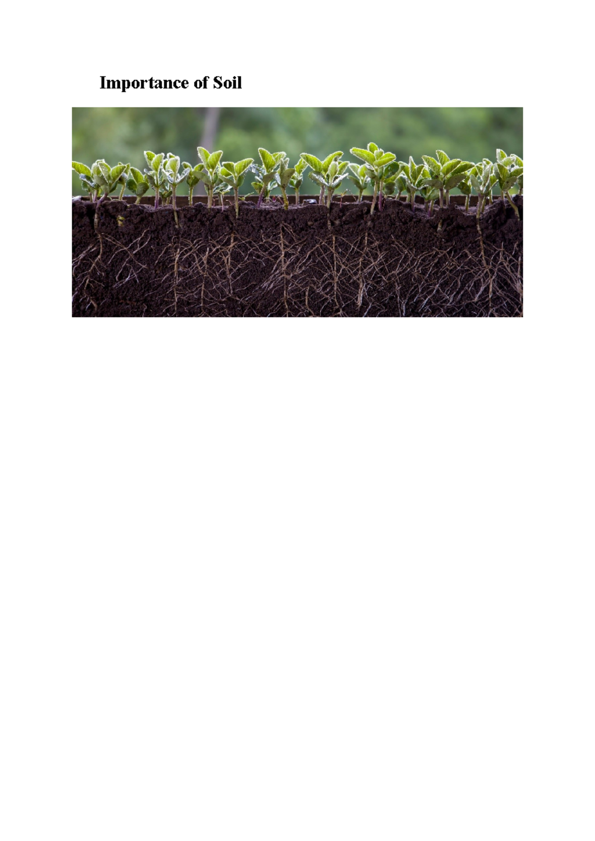 🌱 Importance of Soil: Key Points for Study and Presentations - Studocu