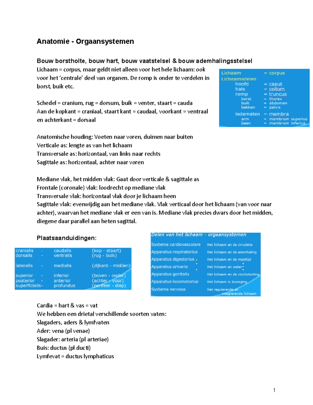 Anatomie van de Orgaansystemen: Borstholte en Hartfuncties - Studeersnel