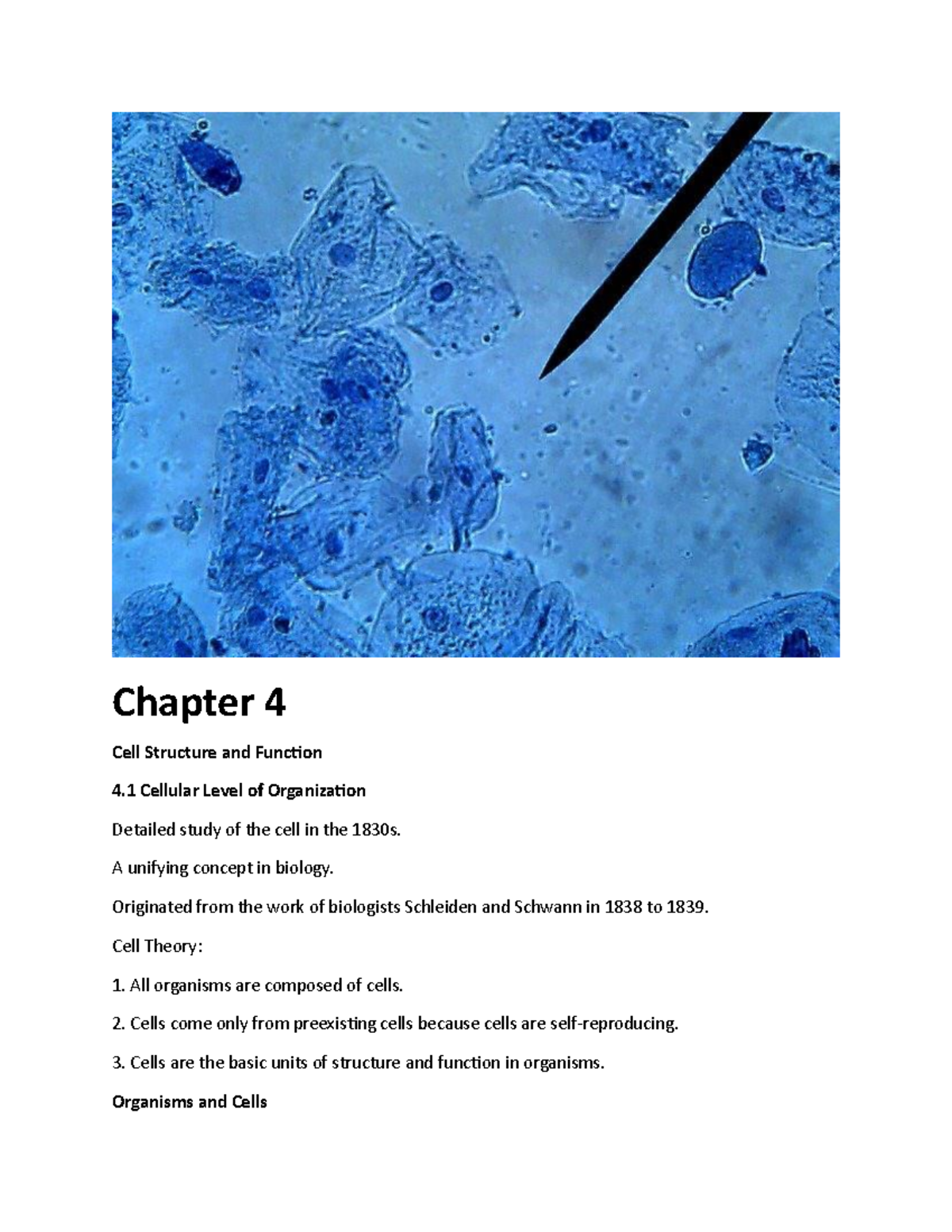 Chapter 4: Cell Structure & Function Overview (Bio 101) - Studocu