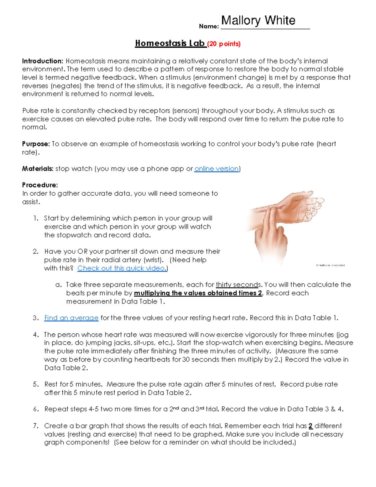 Homeostasis Lab Activity-1: Pulse Rate and Body Responses - Studocu