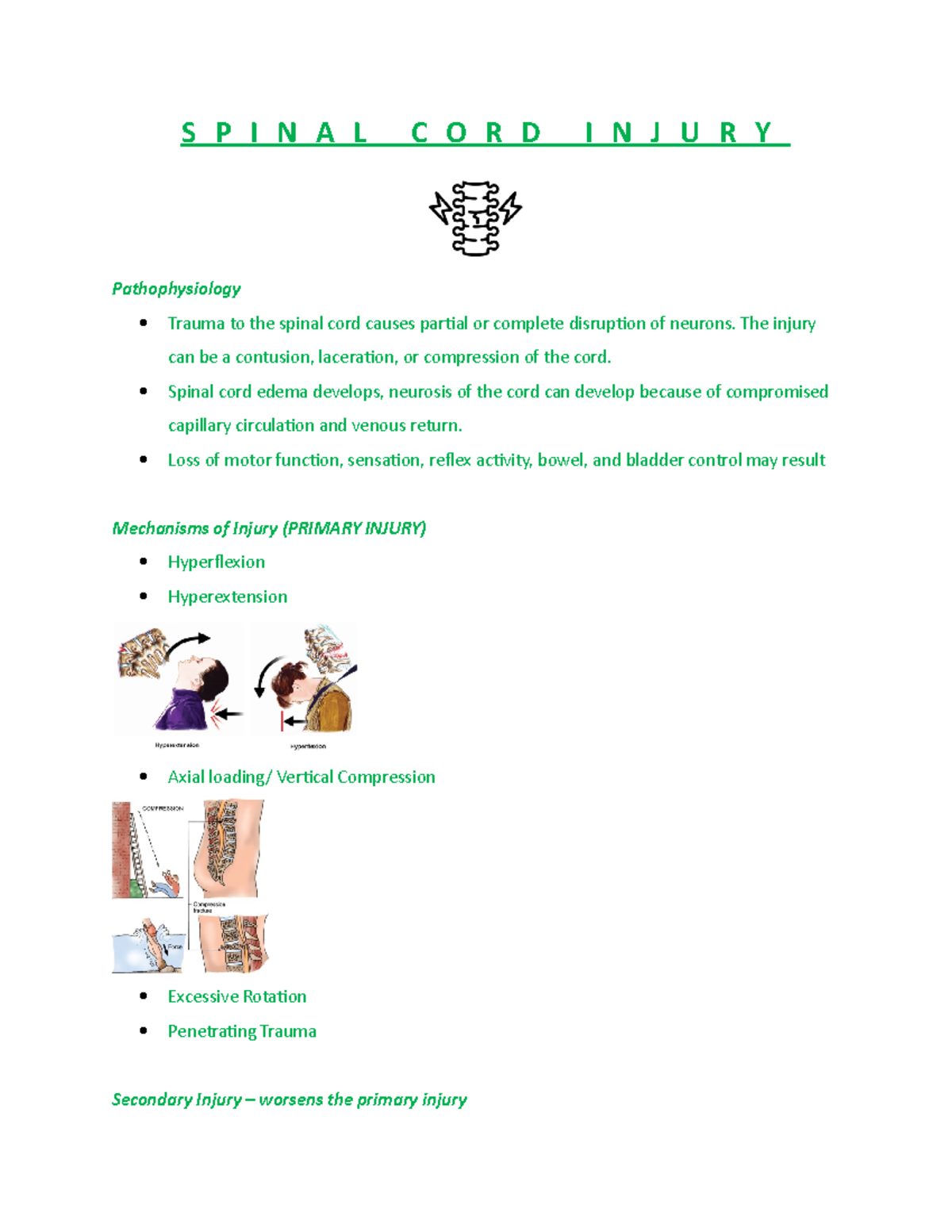 Spinal Cord Injury - Exam 3 Notes and Key Points - Studocu