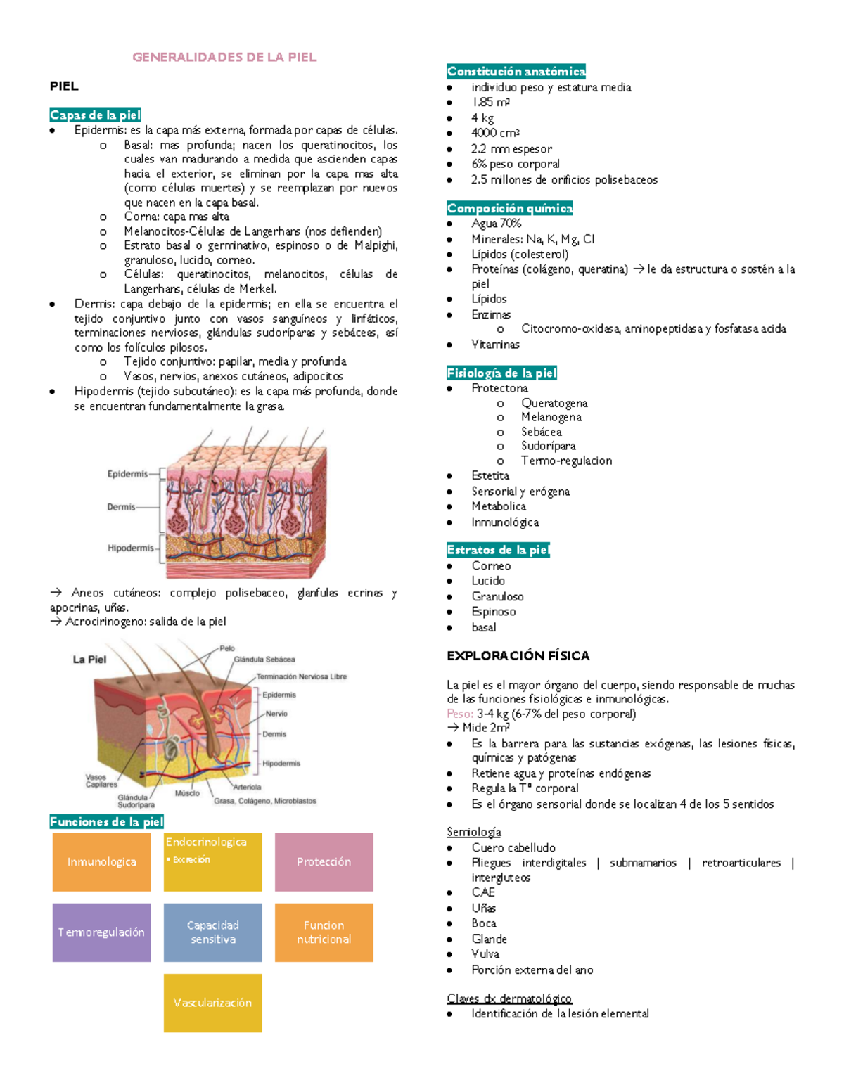 GENERALIDADES DE LA PIEL: APUNTES DE DERMATOLOGÍA (DERM 101) - Studocu