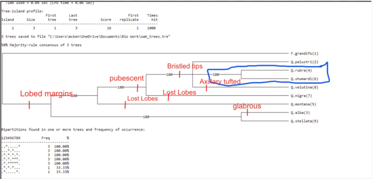 Oak Phylogeny Labeled - n/a - BIO155 - Time used 0 sec (CPU time 0 sec ...
