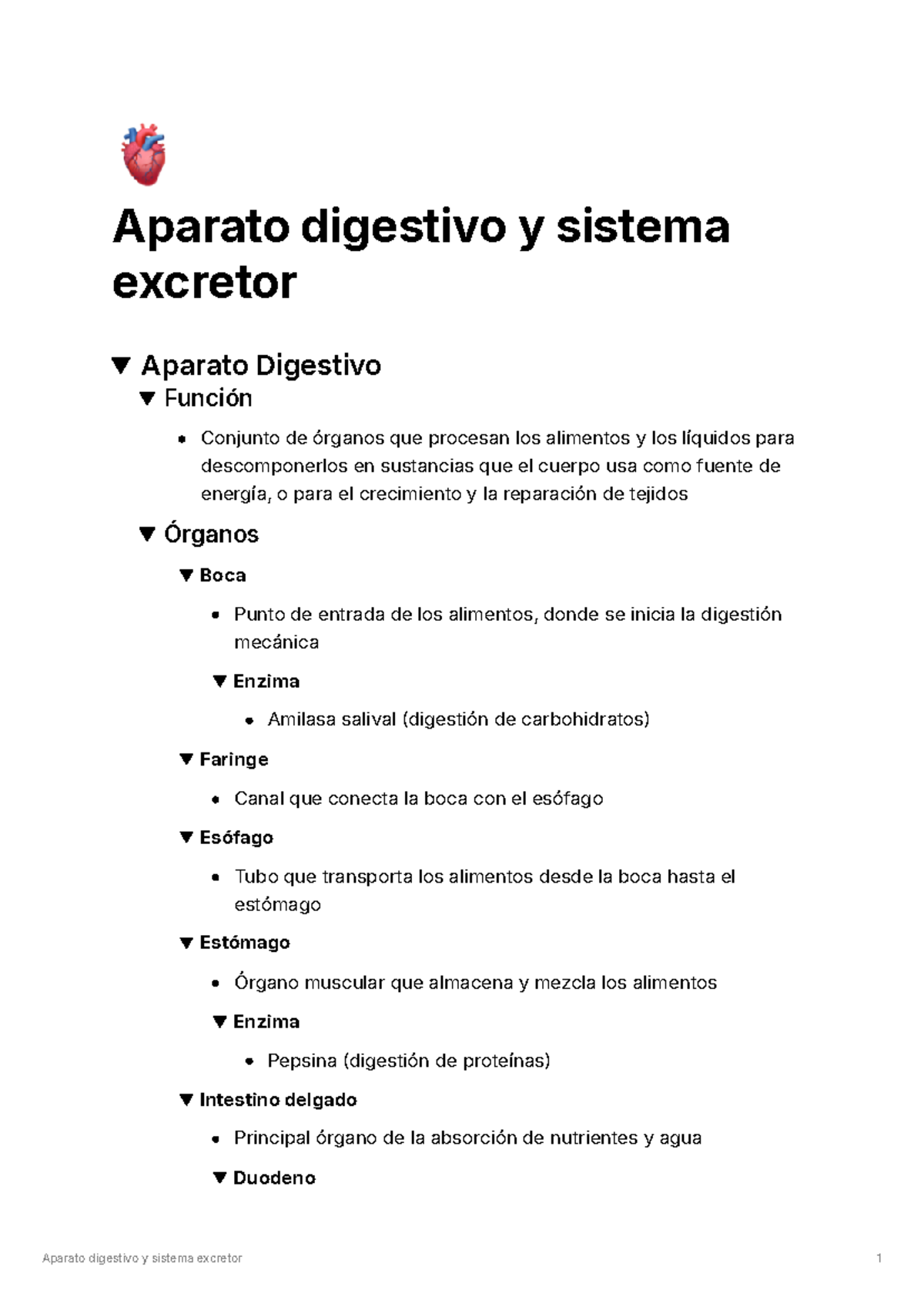Aparato Digestivo y Sistema Excretor: Funciones y Órganos Esenciales ...