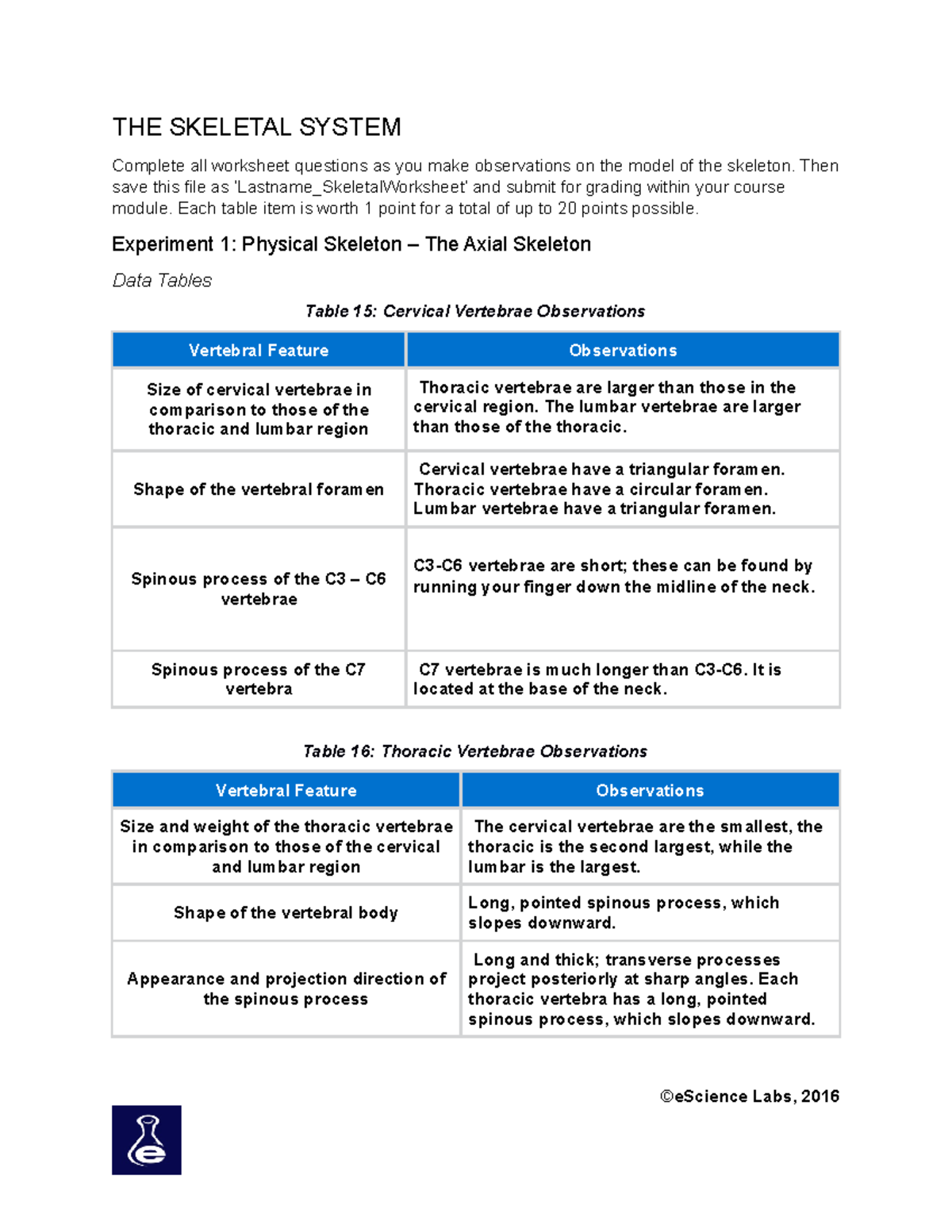Skeletal Worksheet - THE SKELETAL SYSTEM Complete all worksheet ...