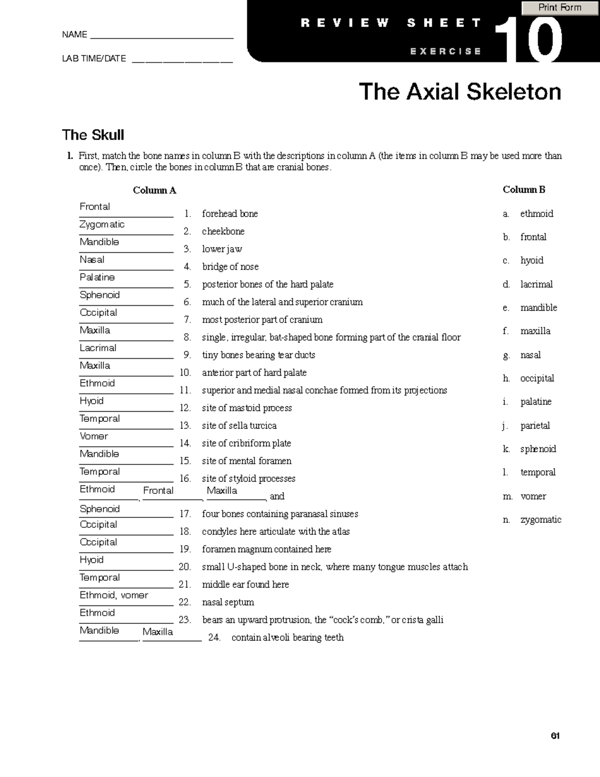 Axial Skeleton Review Sheet - Exercise 10 for Anatomy Studies - Studocu