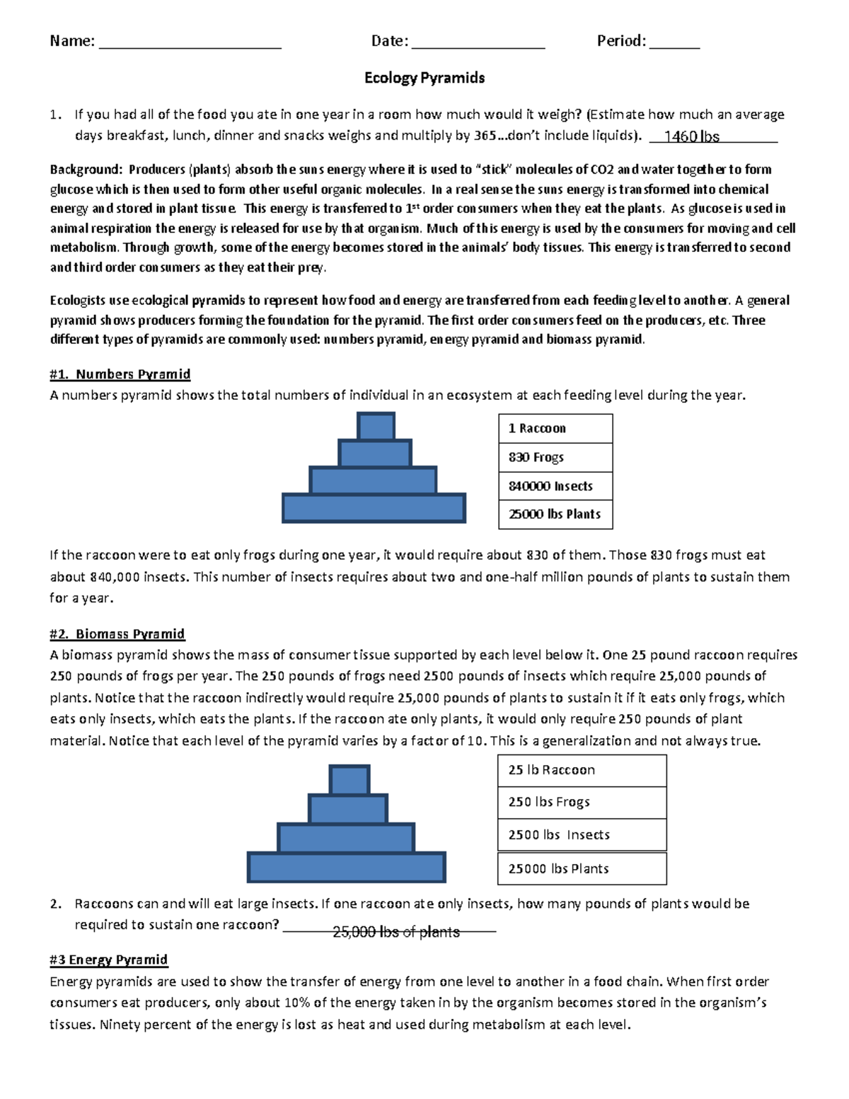 Ecology Pyramids Worksheet (Ecology 101) - Studocu